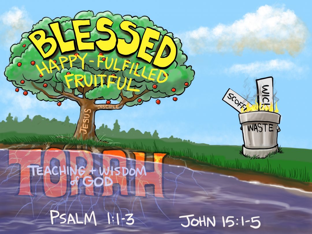 tree-from-Psalm-1-and-John-15 | Steve Thomason