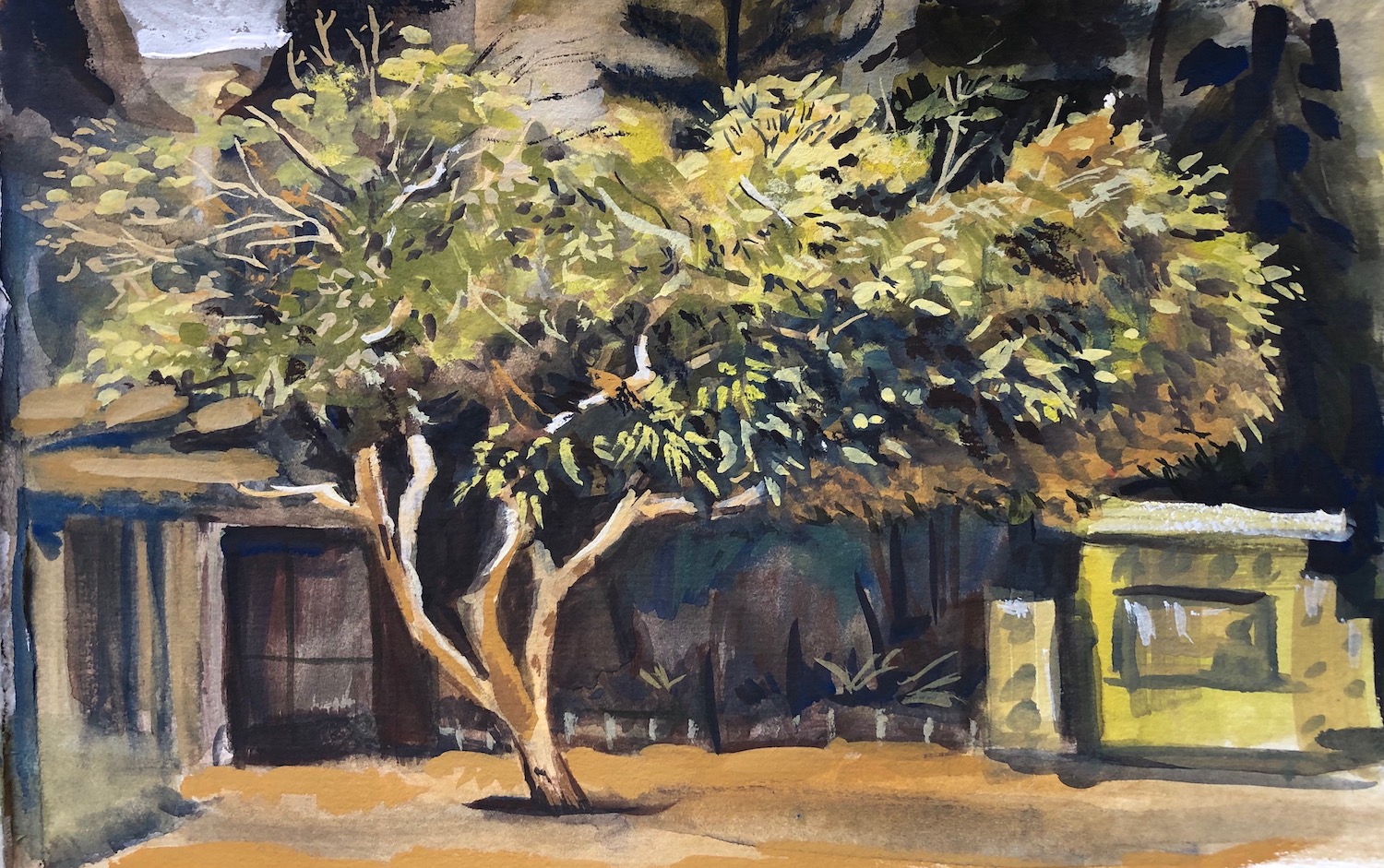 tree at MOA | Steve Thomason